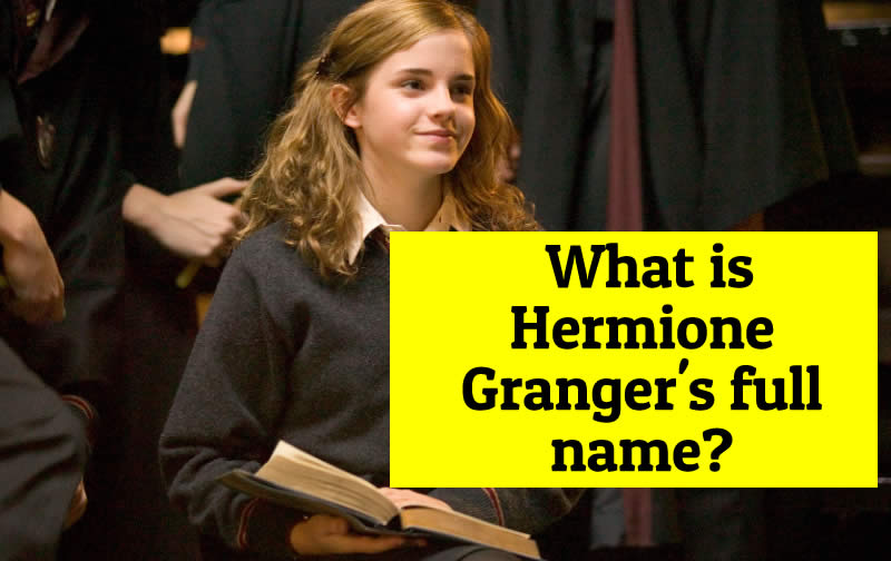 Le cours d’histoire était facile… n’est-ce pas ? Prouvez-le dans ce ...